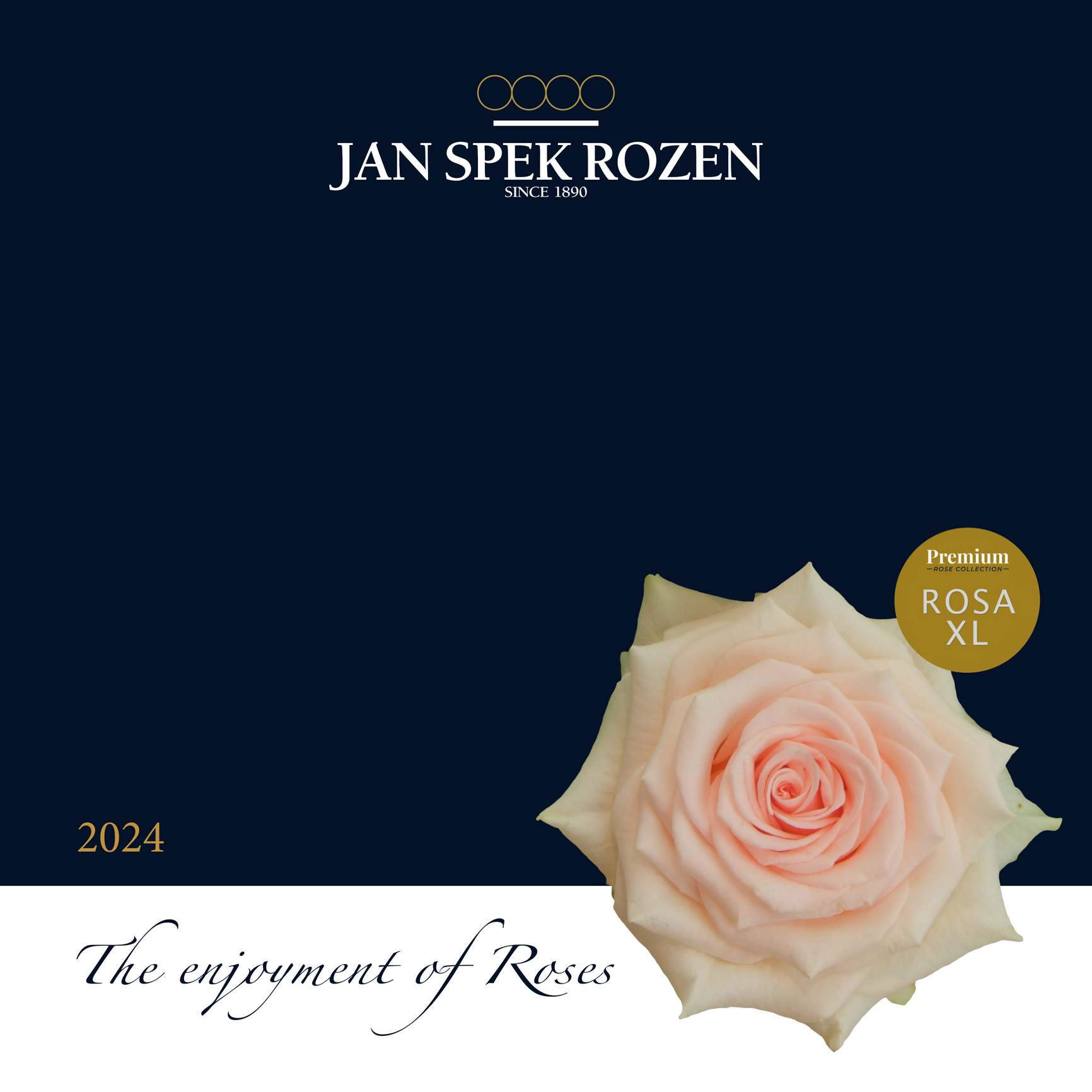 Catalogus Cutroses World Wide - Jan Spek Rozen 2024